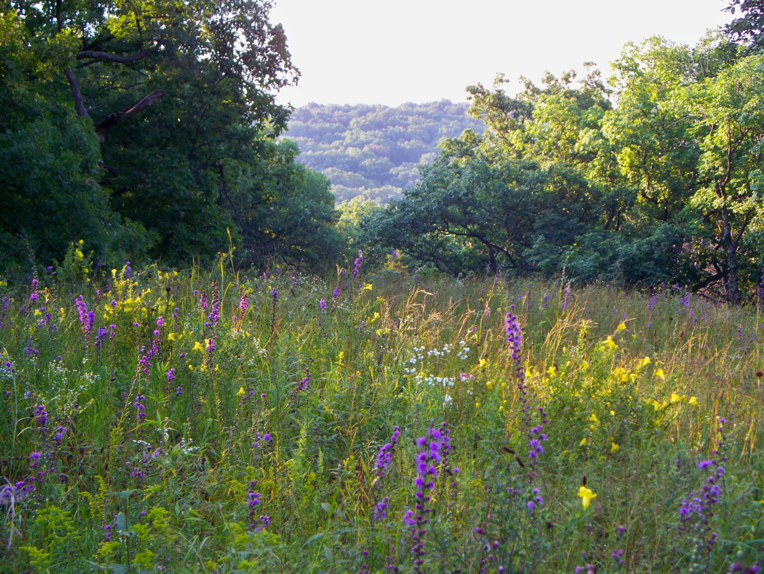 Camp Wokanda - Peoria Park District