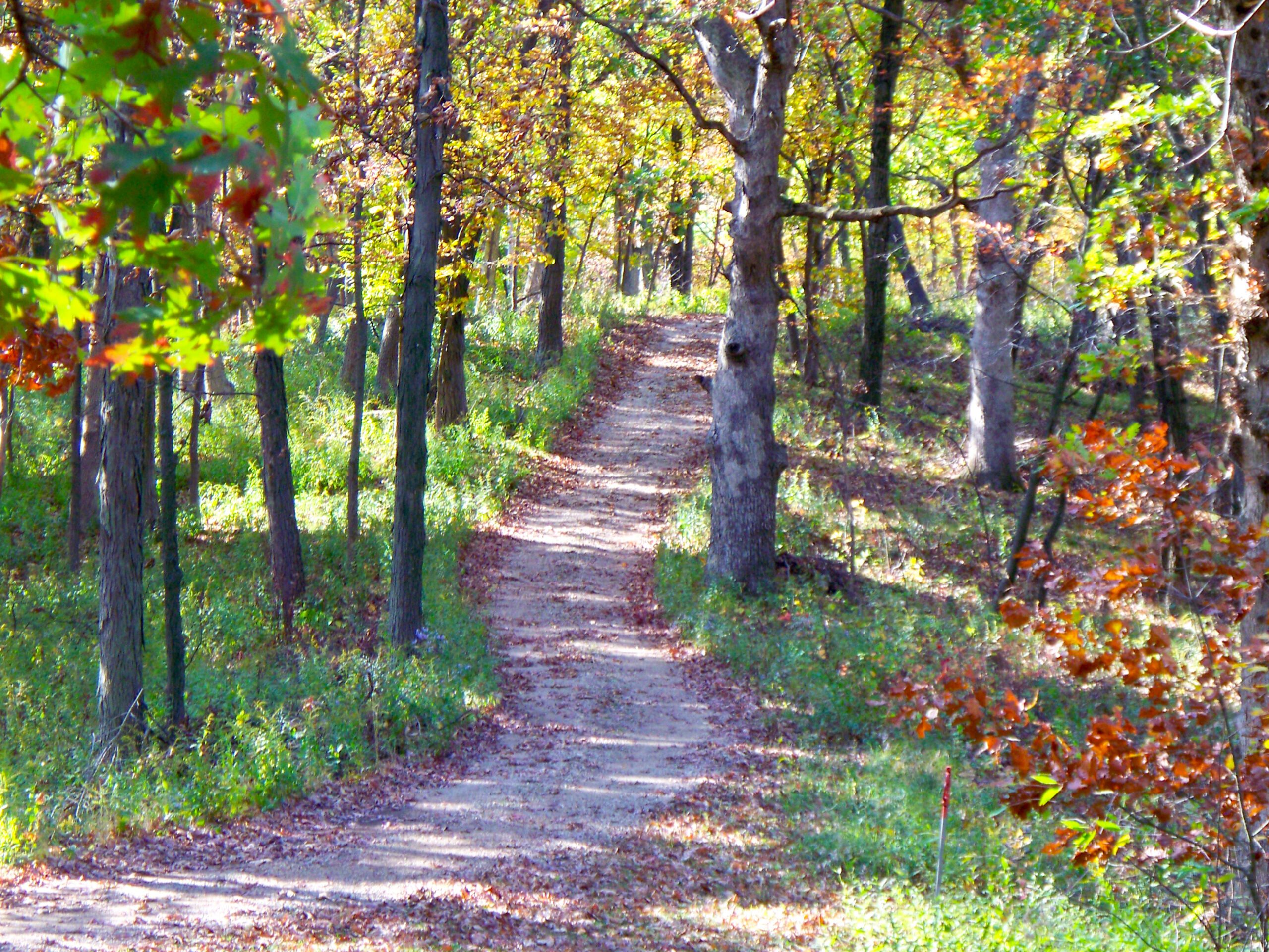 Park Trails - Peoria Park District