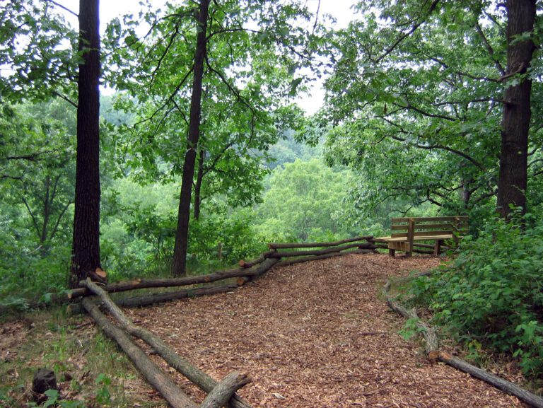 Camp Wokanda - Peoria Park District