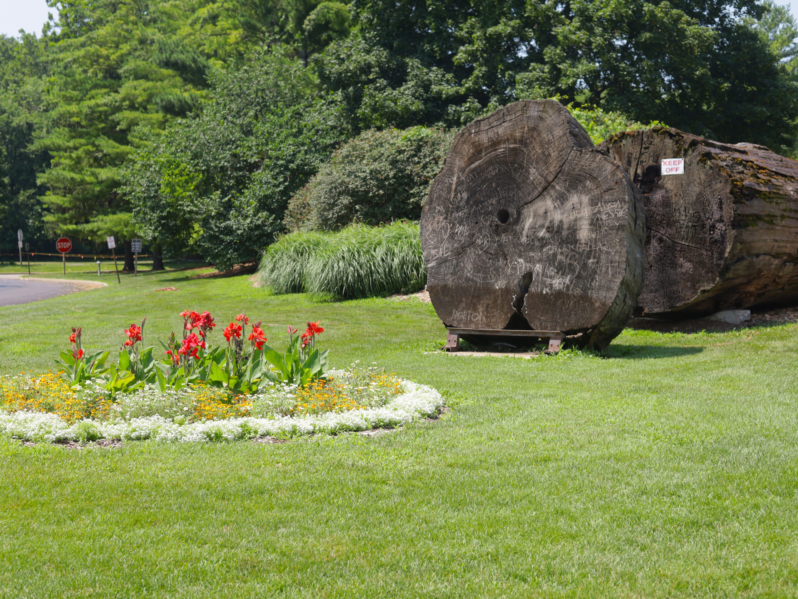 Detweiller Park - Peoria Park District