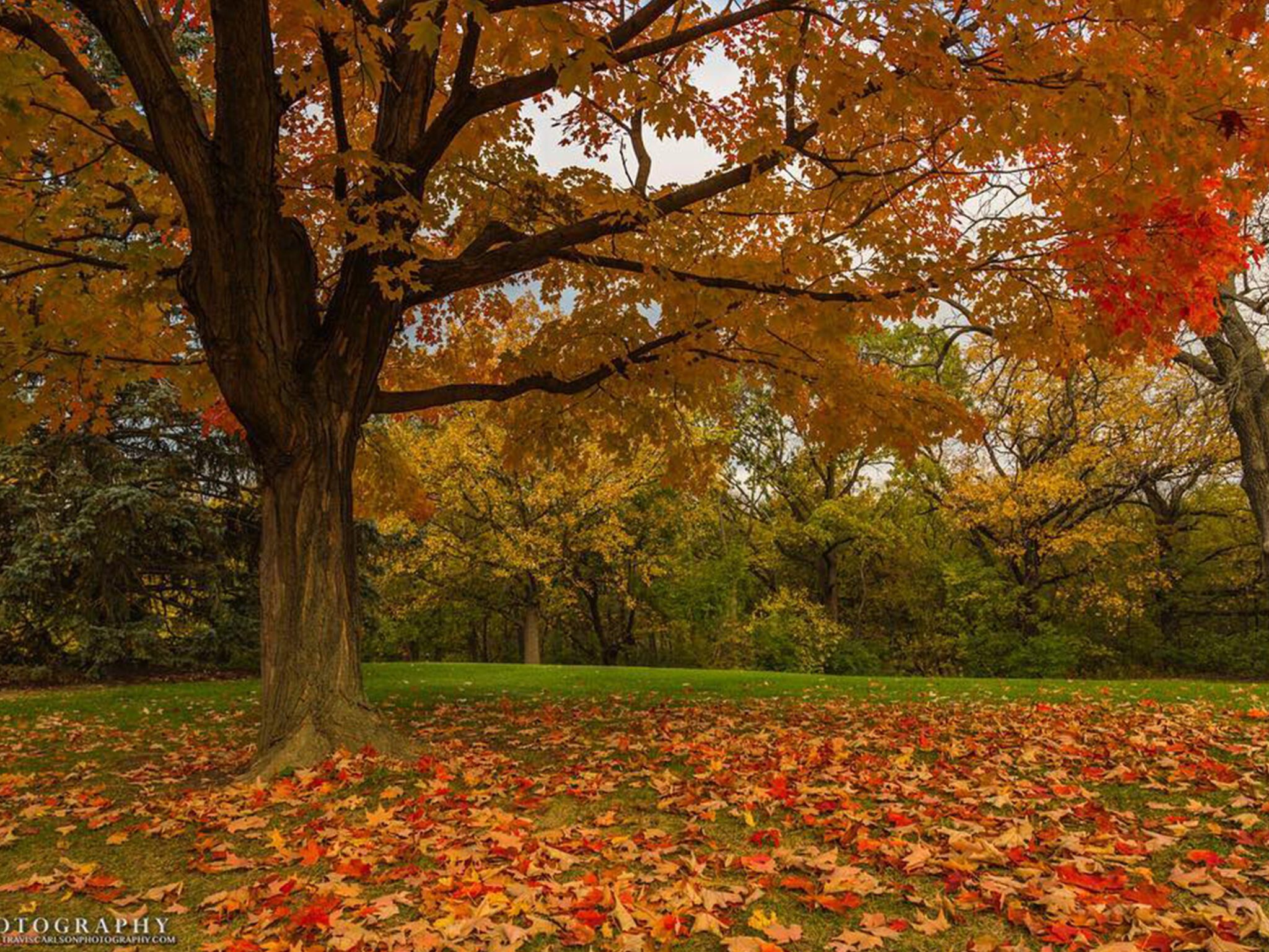 Detweiller Park - Peoria Park District