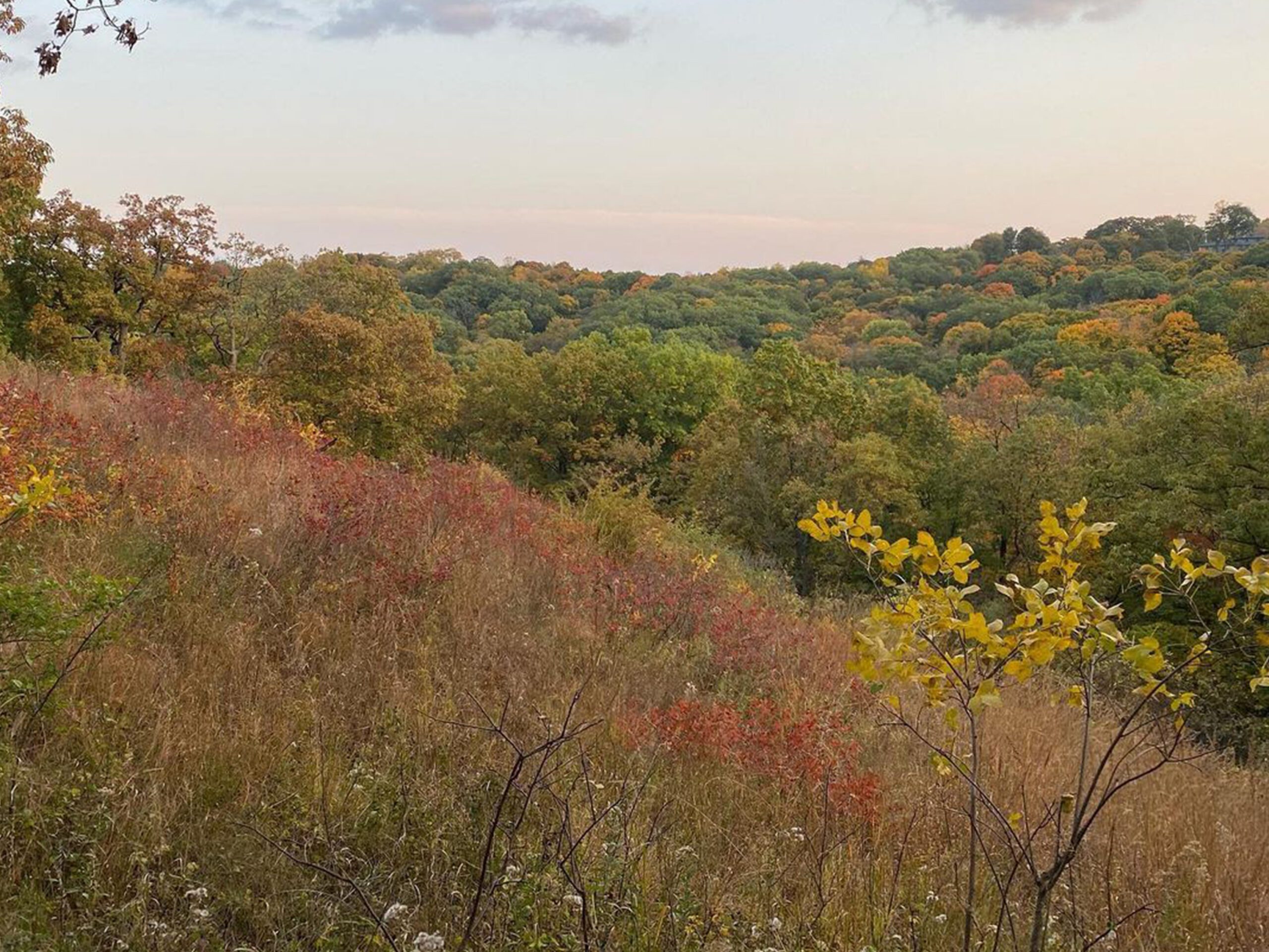Donovan Park - Peoria Park District