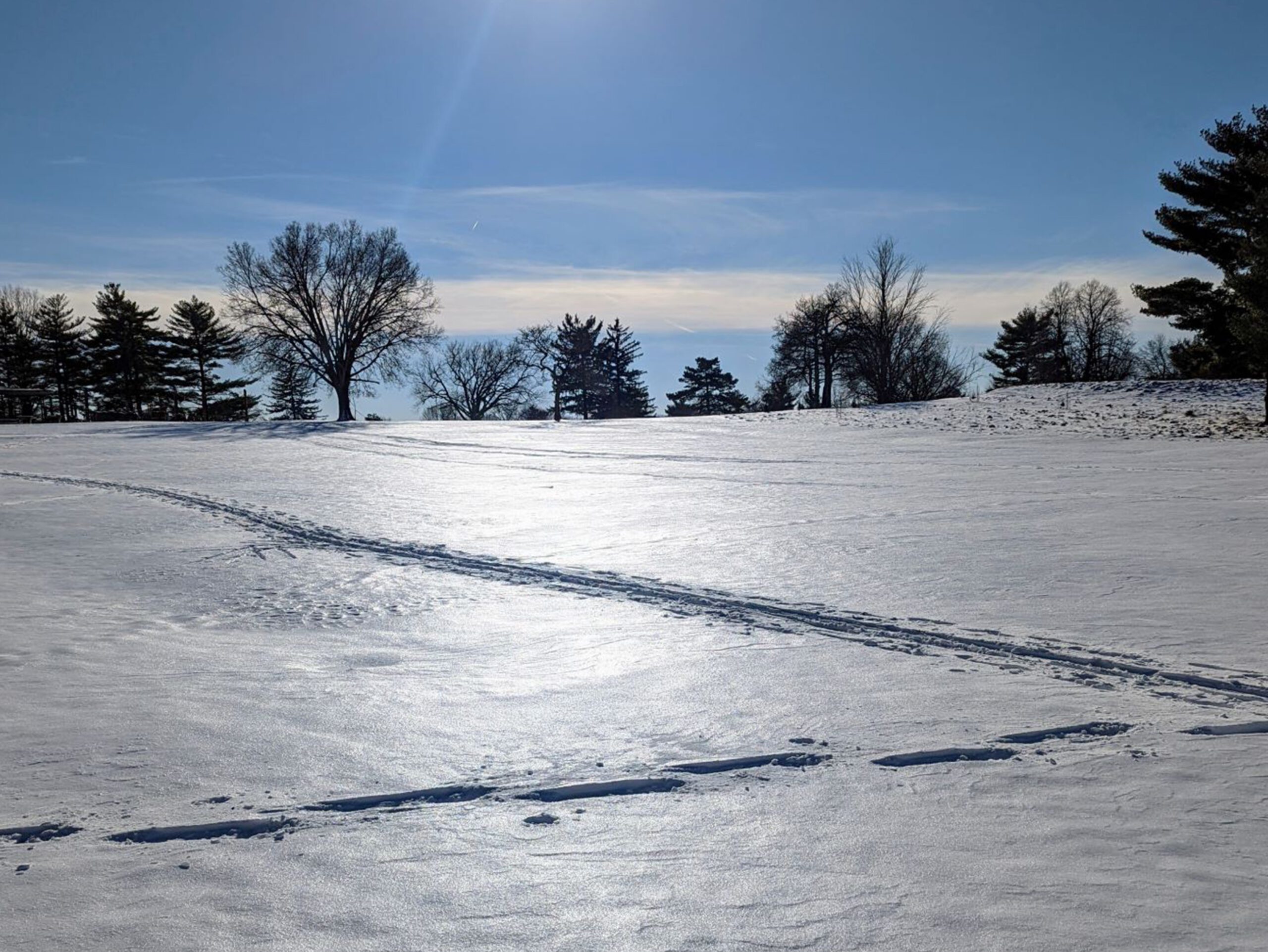Donovan Park - Peoria Park District