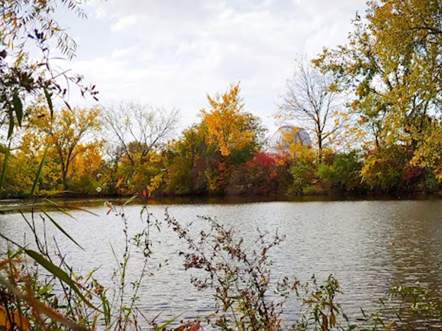 Donovan Park - Peoria Park District