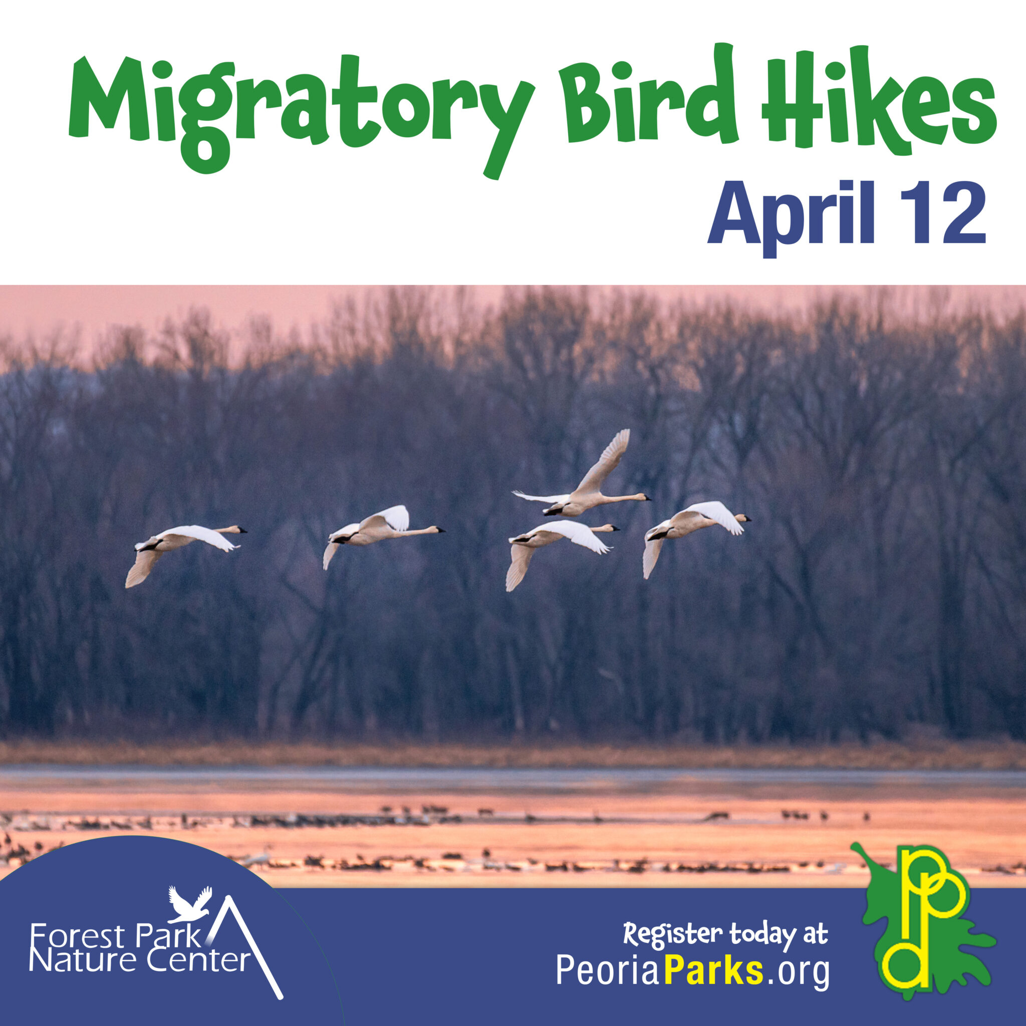 Migratory Bird Hikes - Peoria Park District