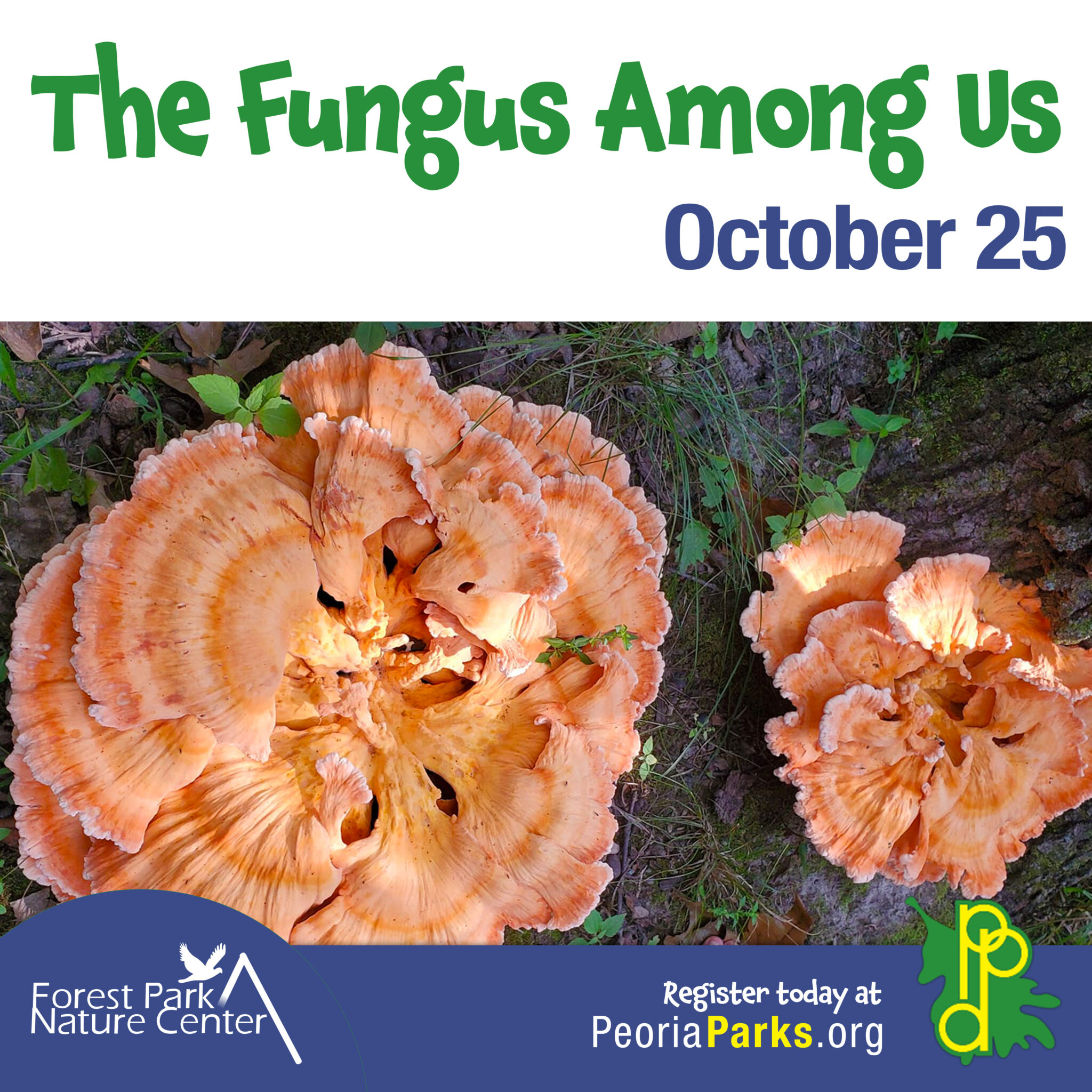 The Fungus Among Us - Peoria Park District