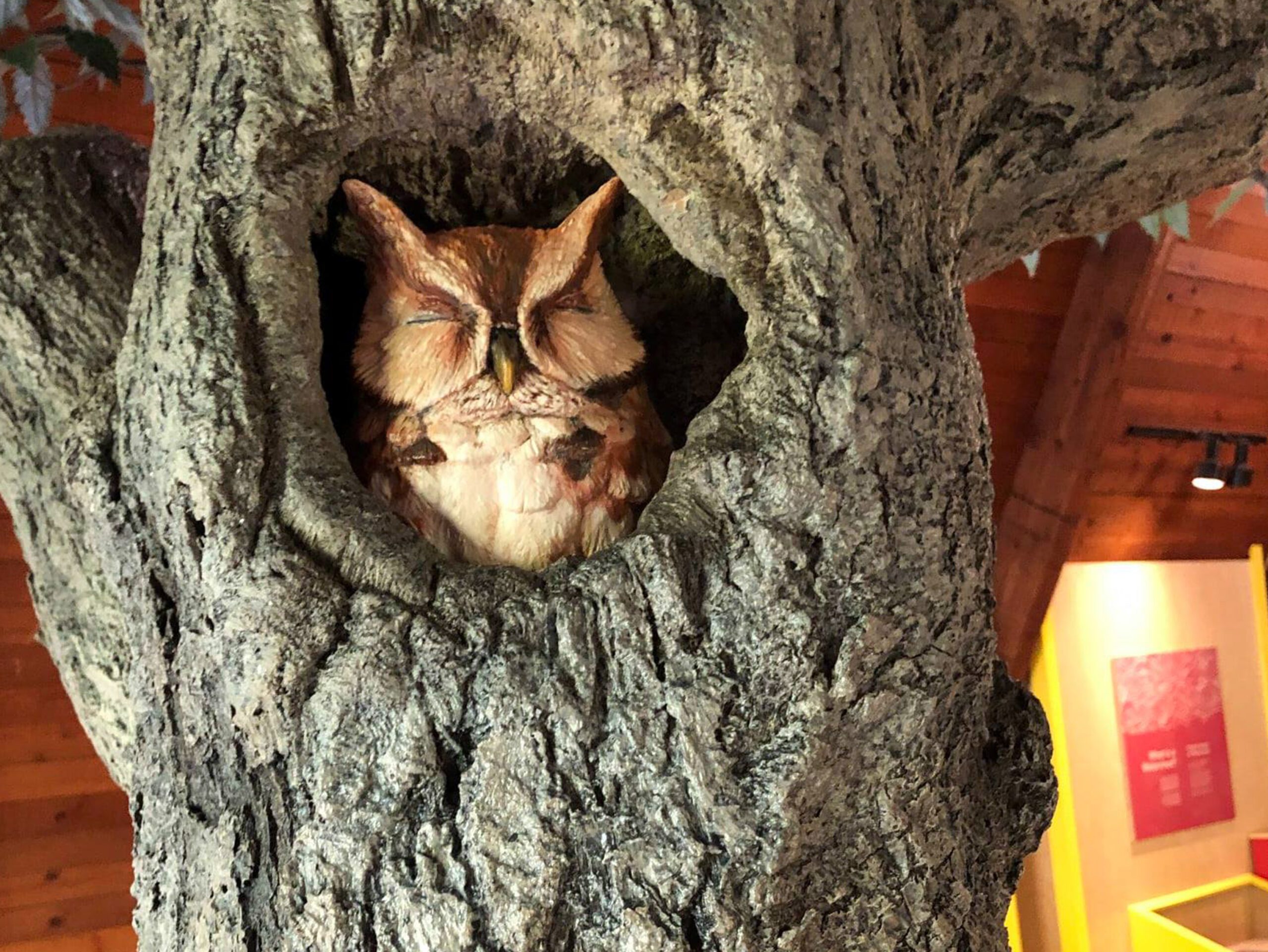 Forest Park Nature Center - Peoria Park District