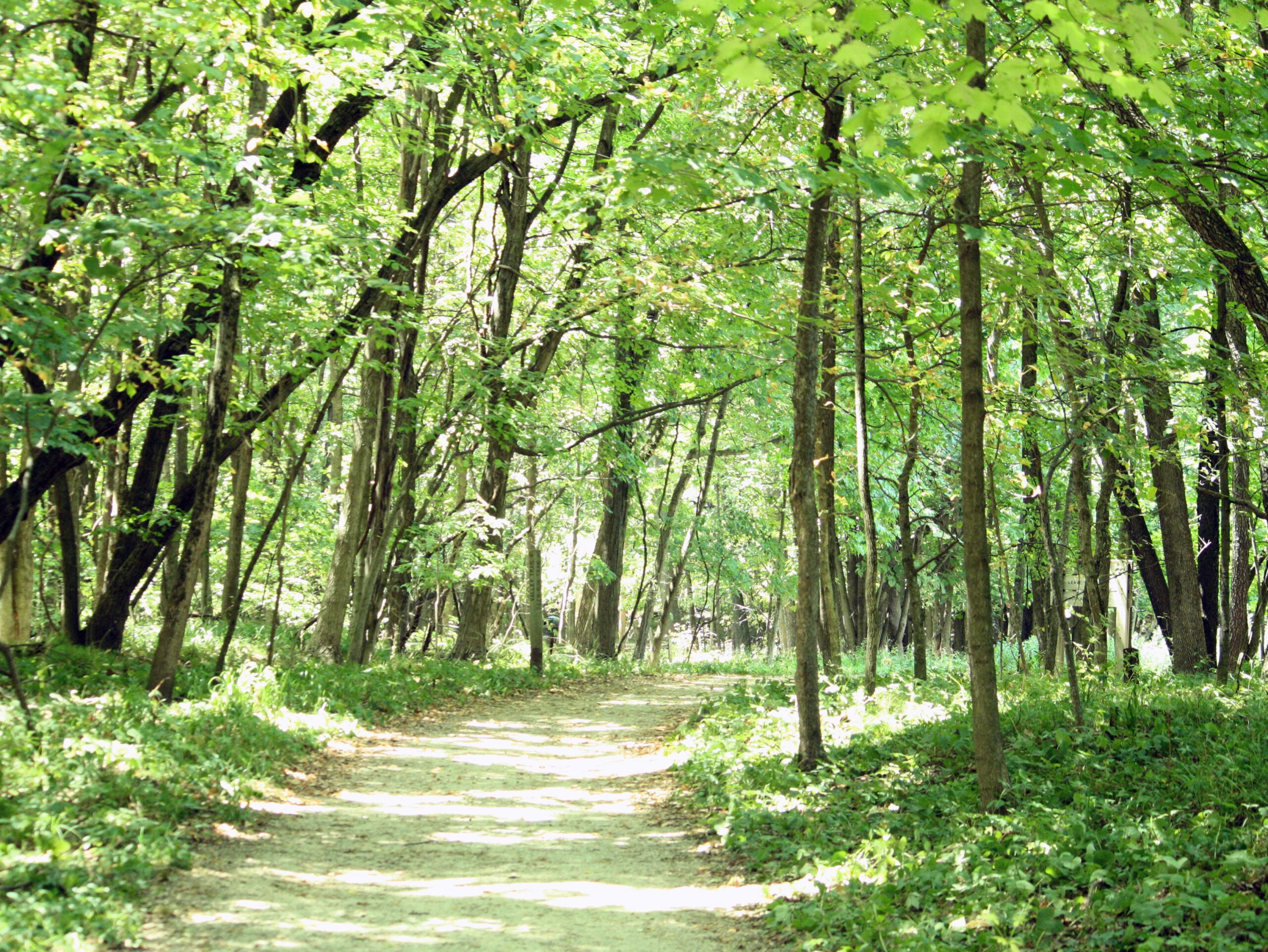 Forest Park Nature Center - Peoria Park District