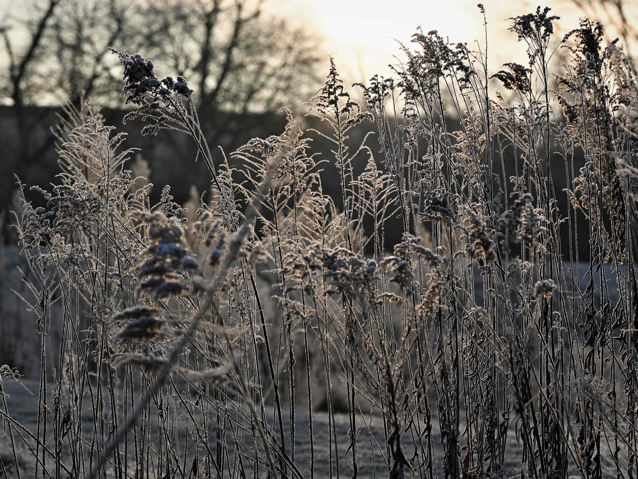 Lakeview Park - Peoria Park District
