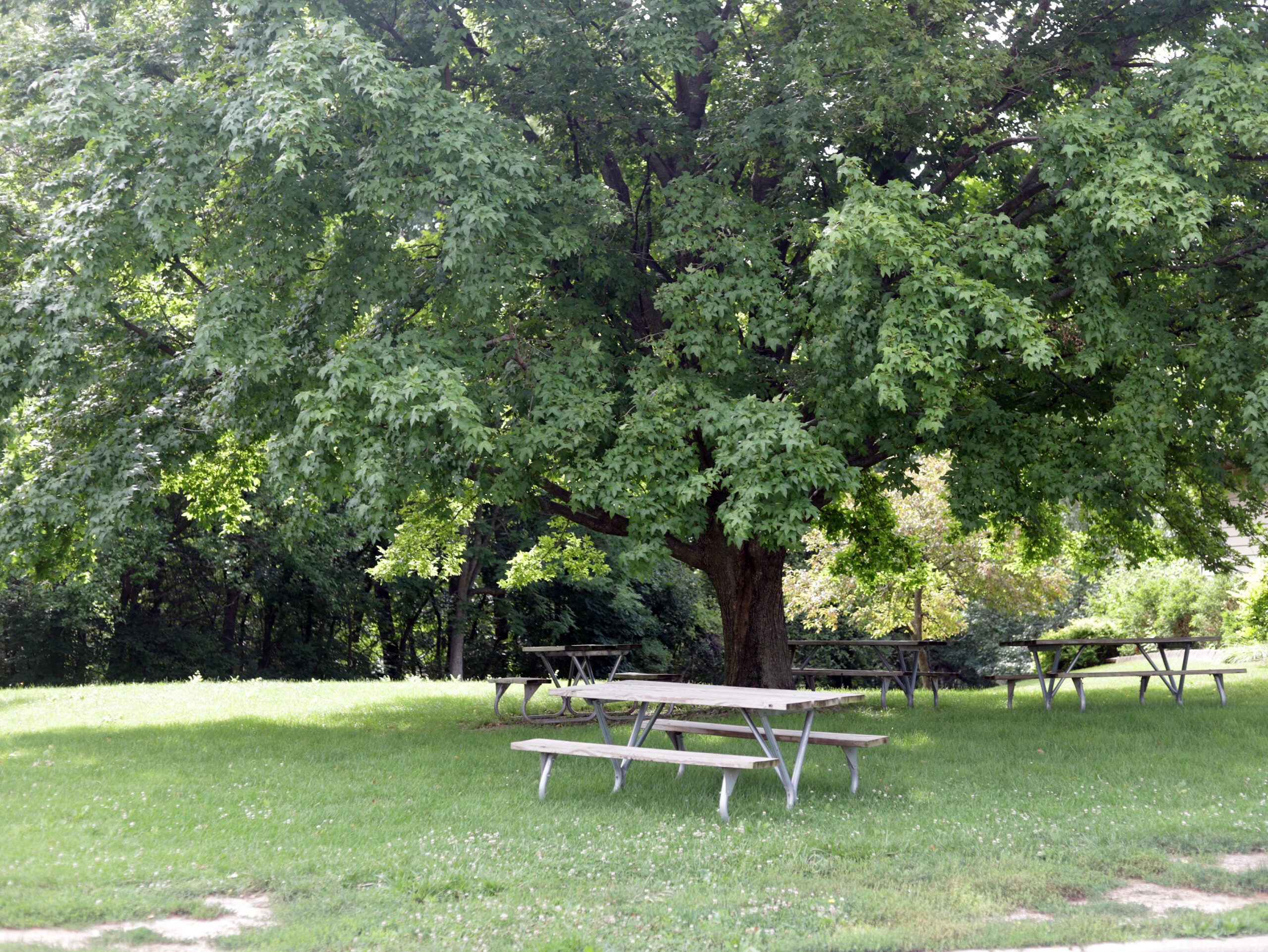 Manning Park - Peoria Park District