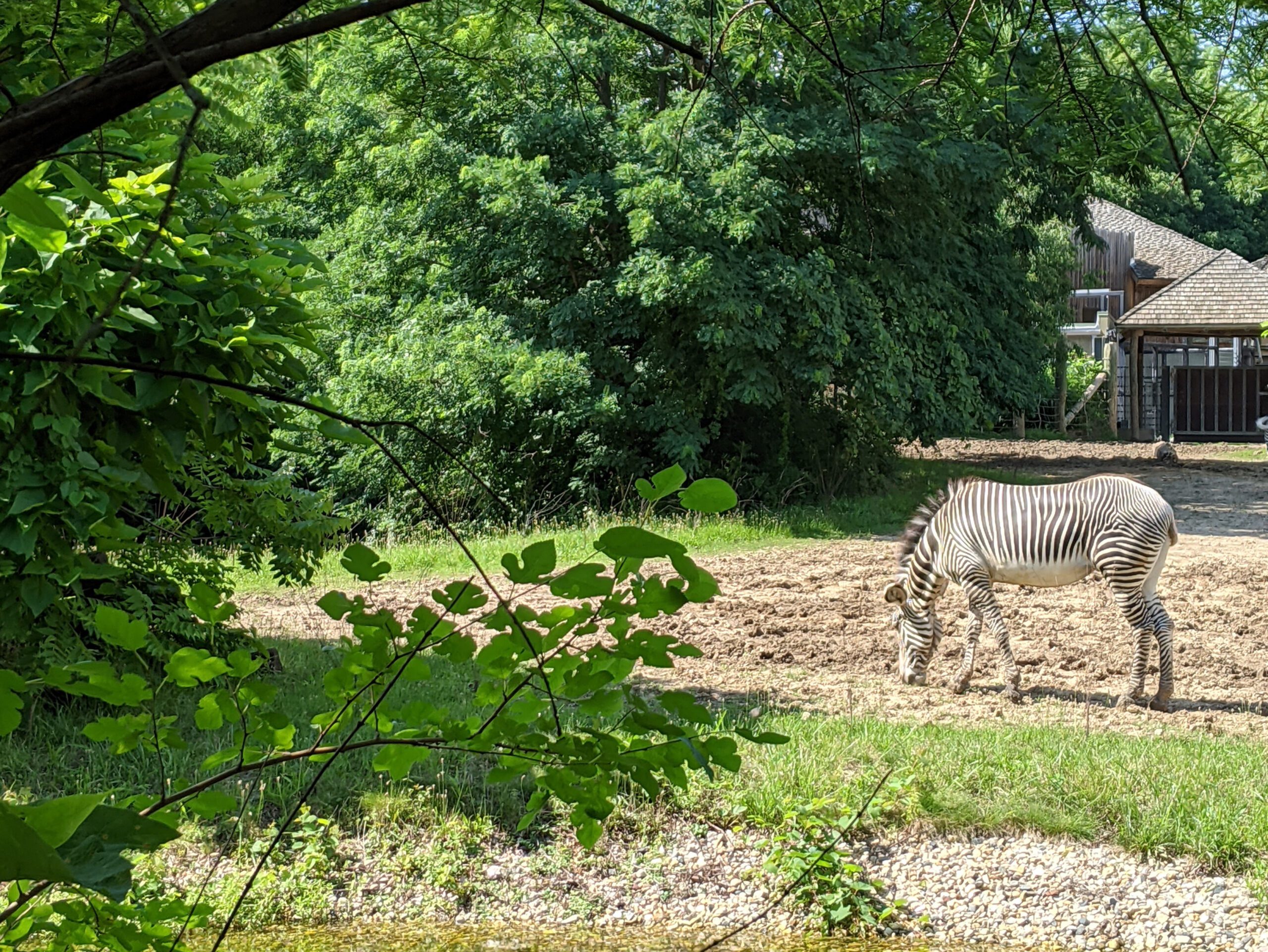 Peoria Zoo - Peoria Park District