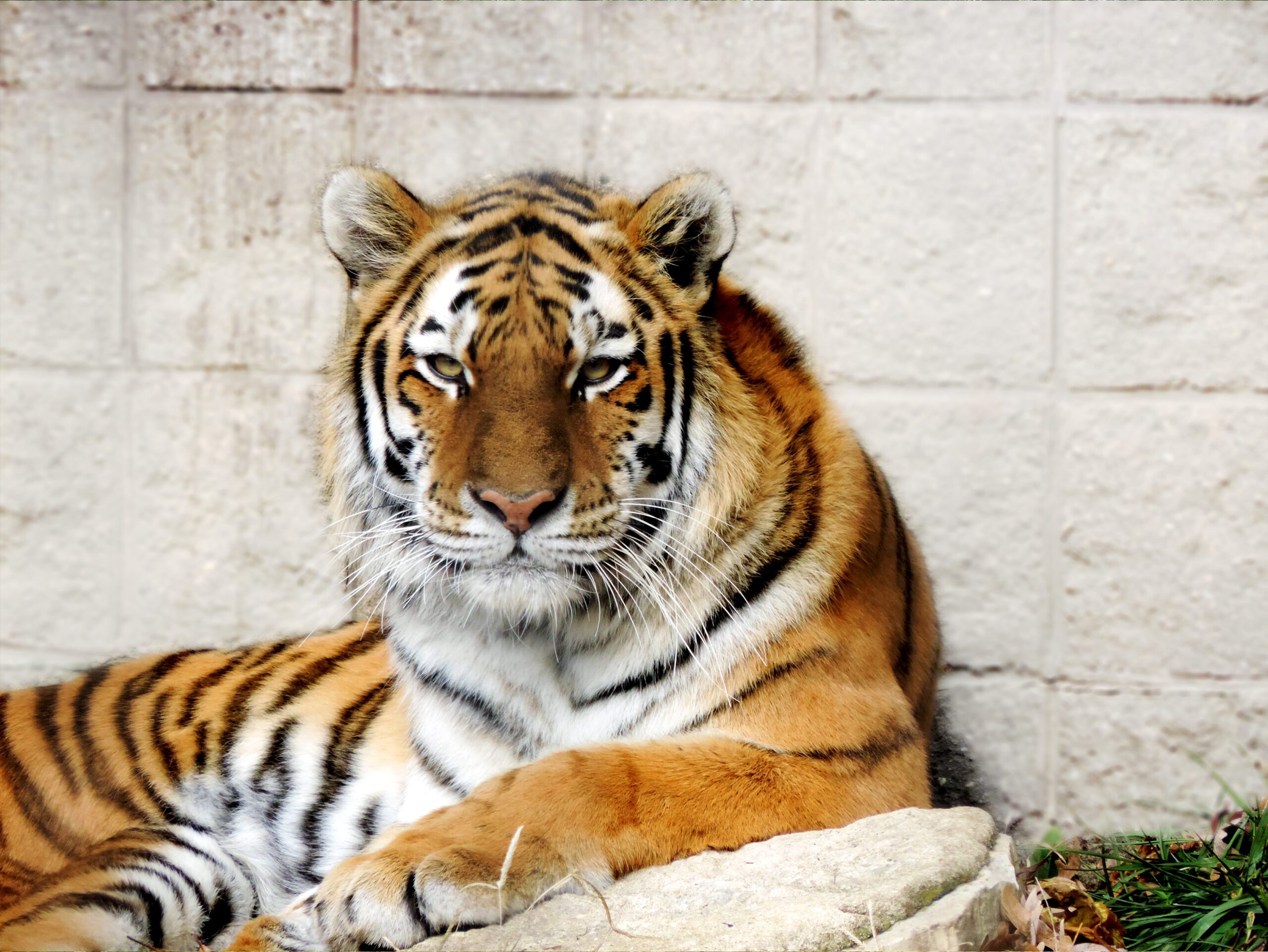 Peoria Zoo - Peoria Park District