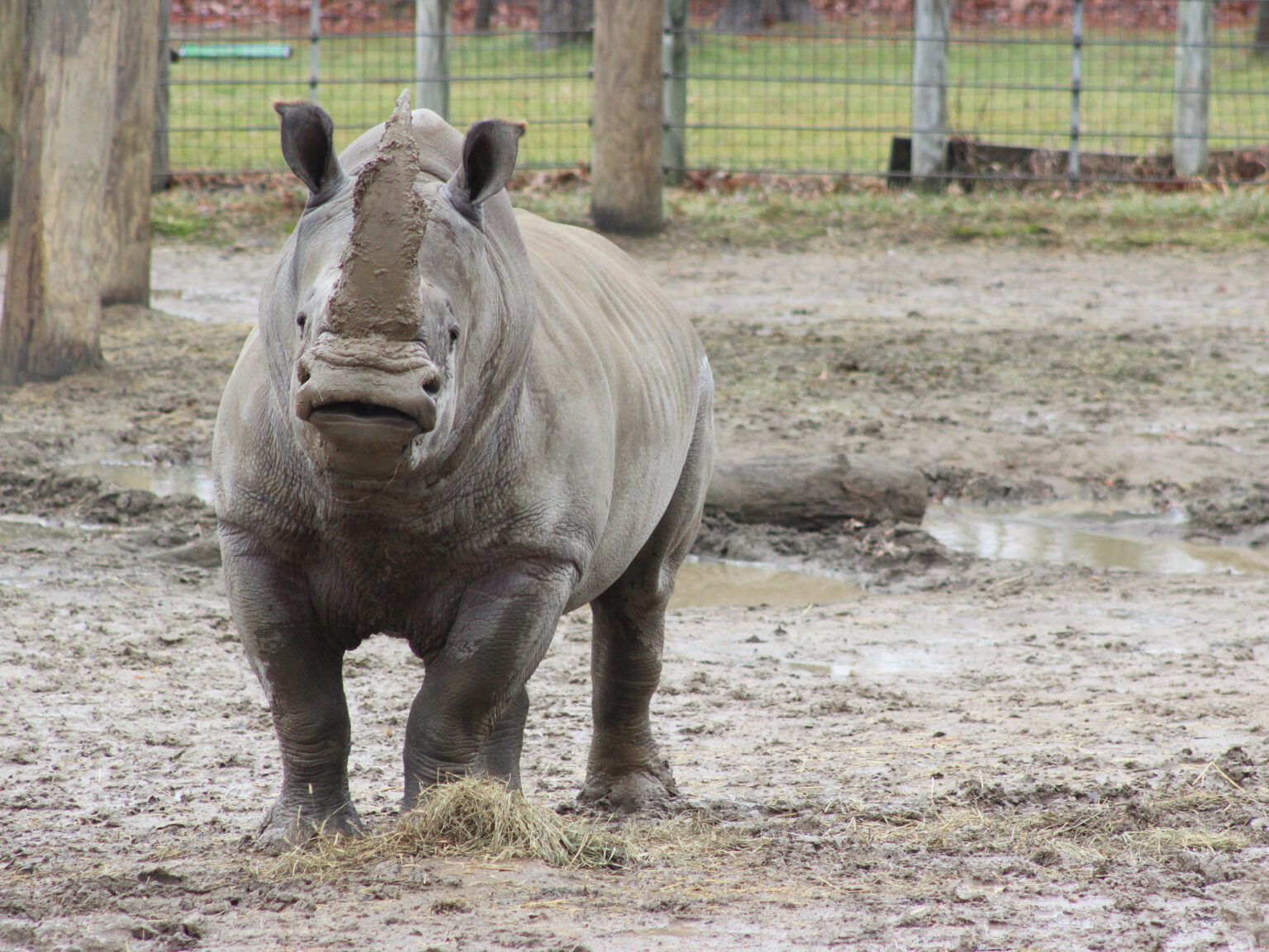Peoria Zoo - Peoria Park District