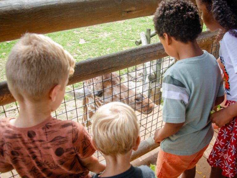 Peoria Zoo - Peoria Park District