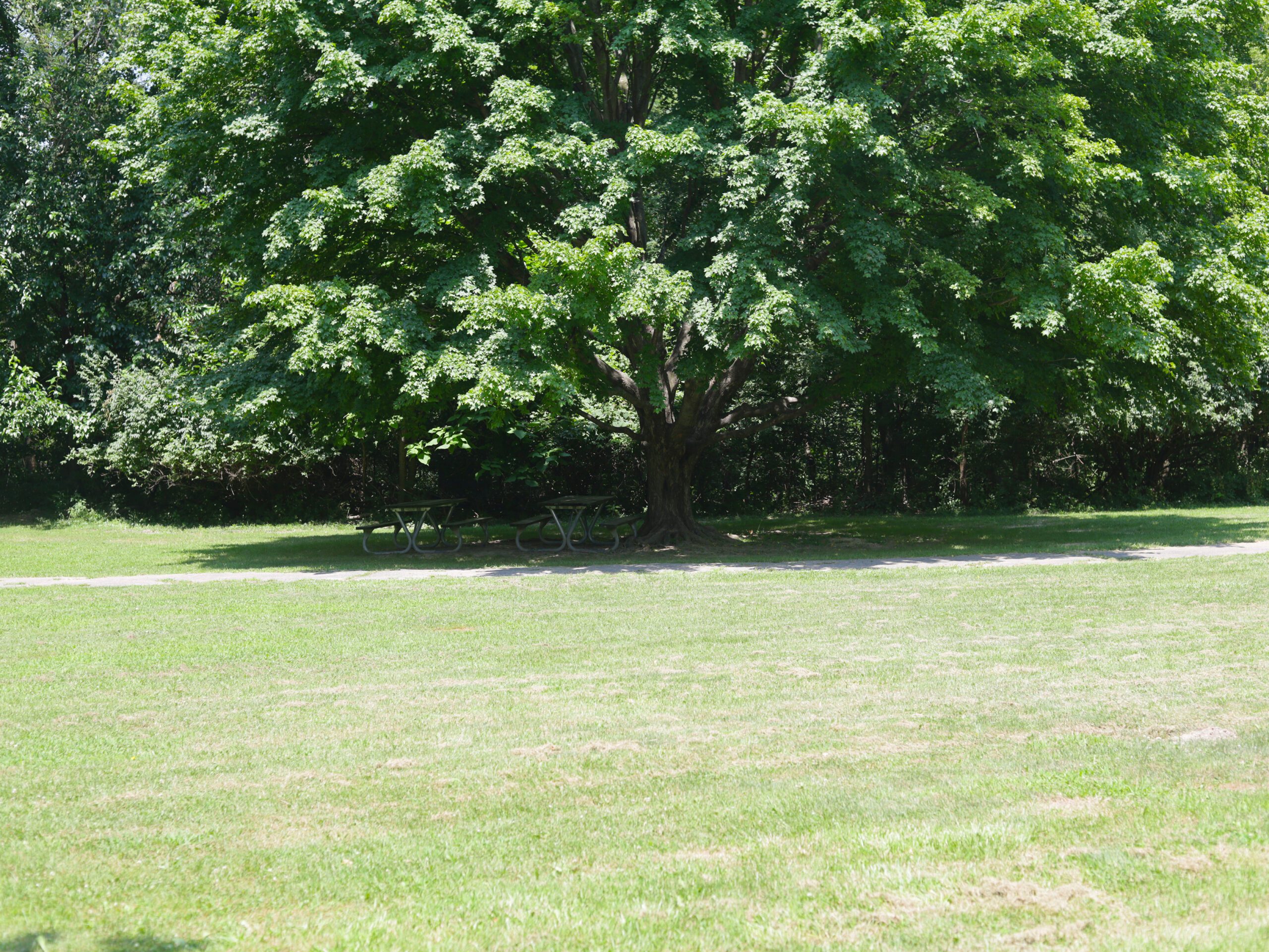 Robinson Park - Peoria Park District