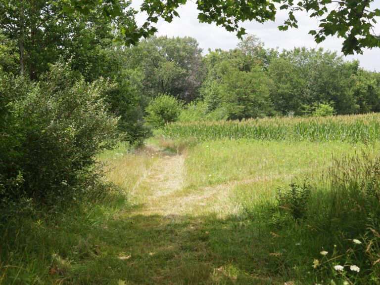 Robinson Park - Peoria Park District