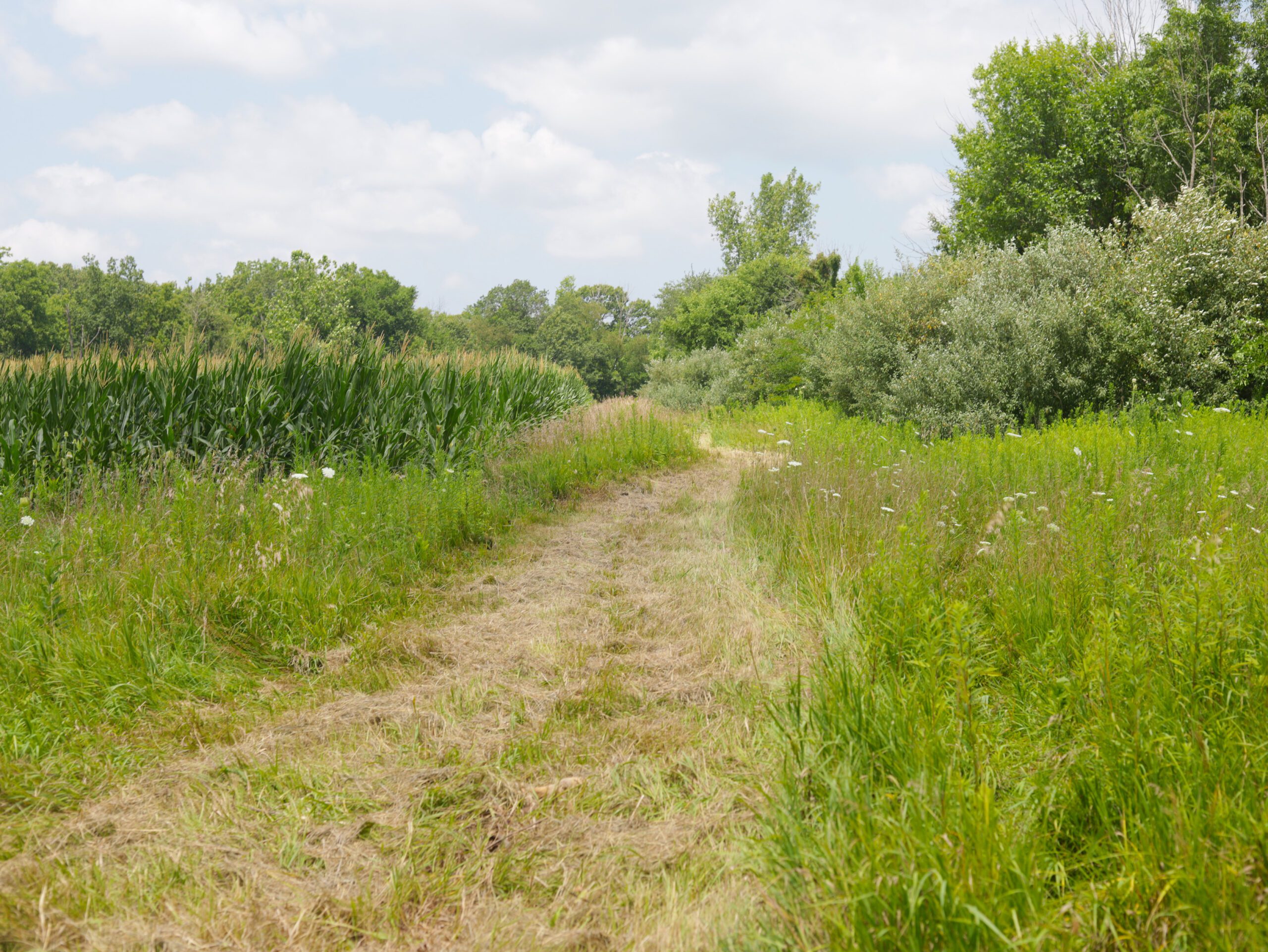 Park Trails - Peoria Park District