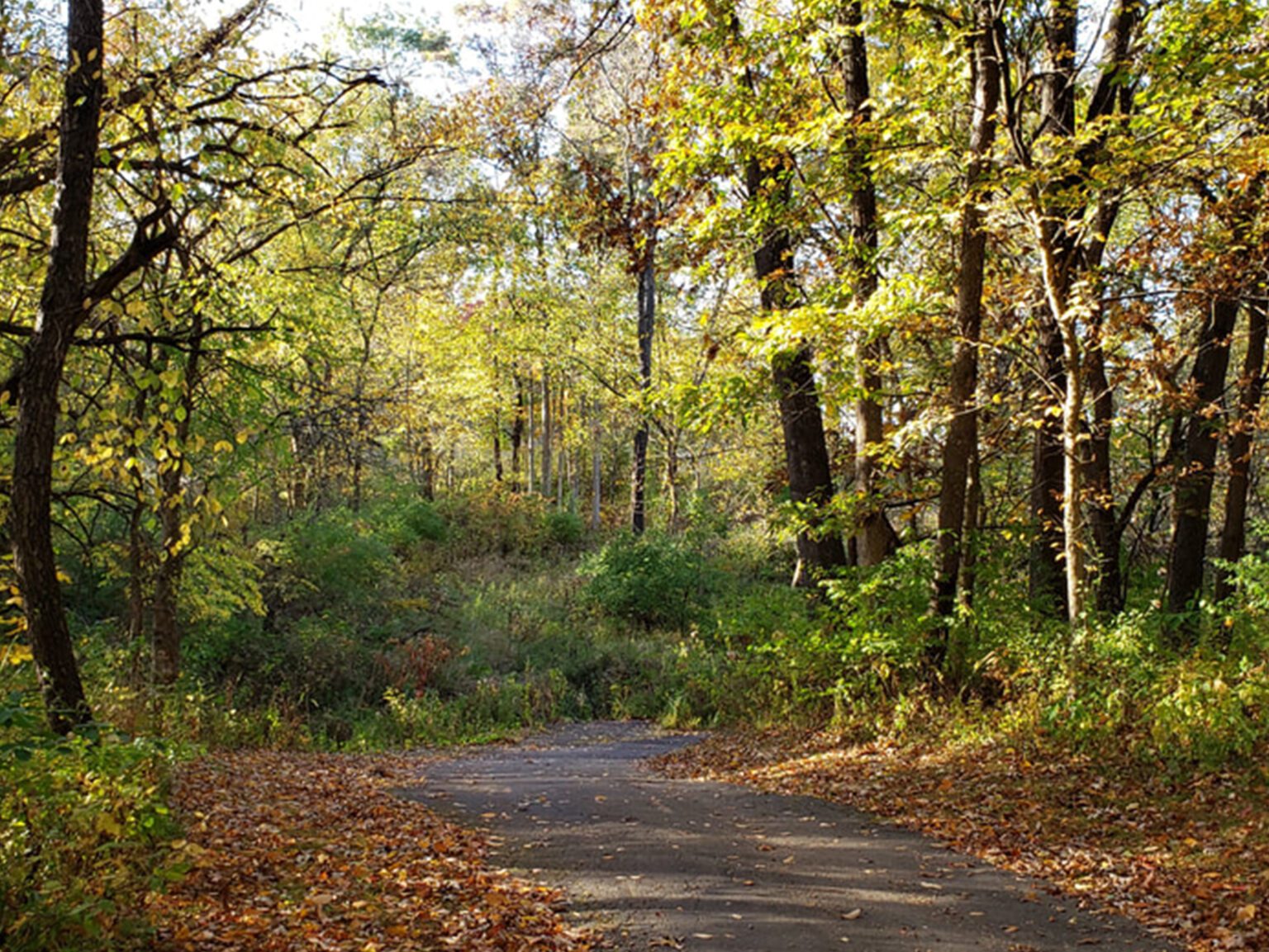 Park Trails - Peoria Park District