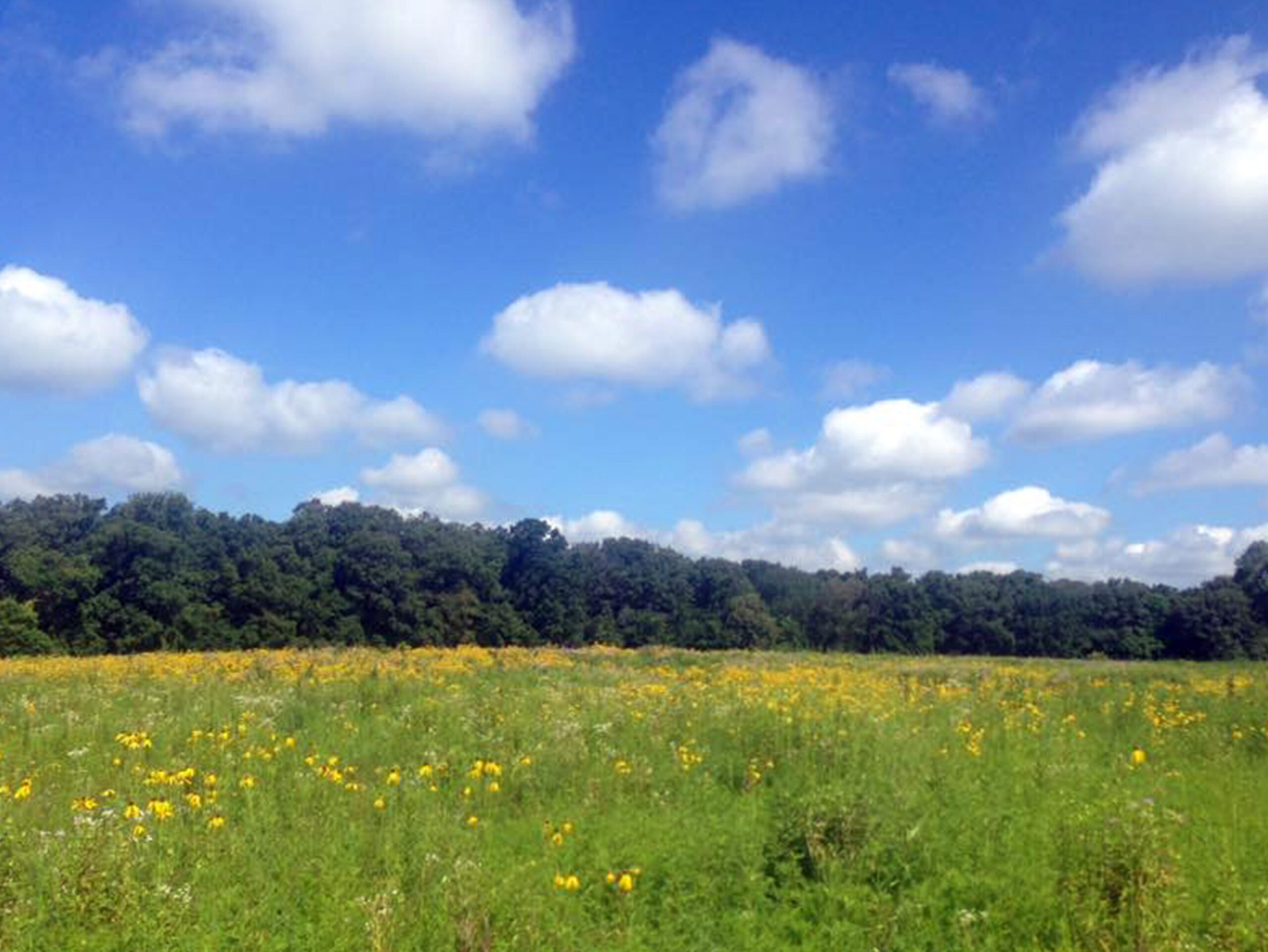 Tawny Oaks Field Station - Peoria Park District